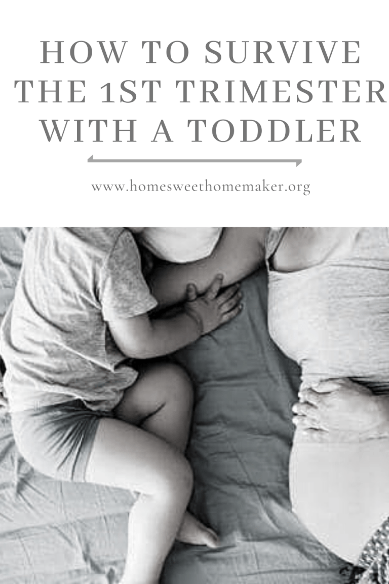 How To Survive The 1st Trimester With A Toddler – HomeSweetHomeMaker